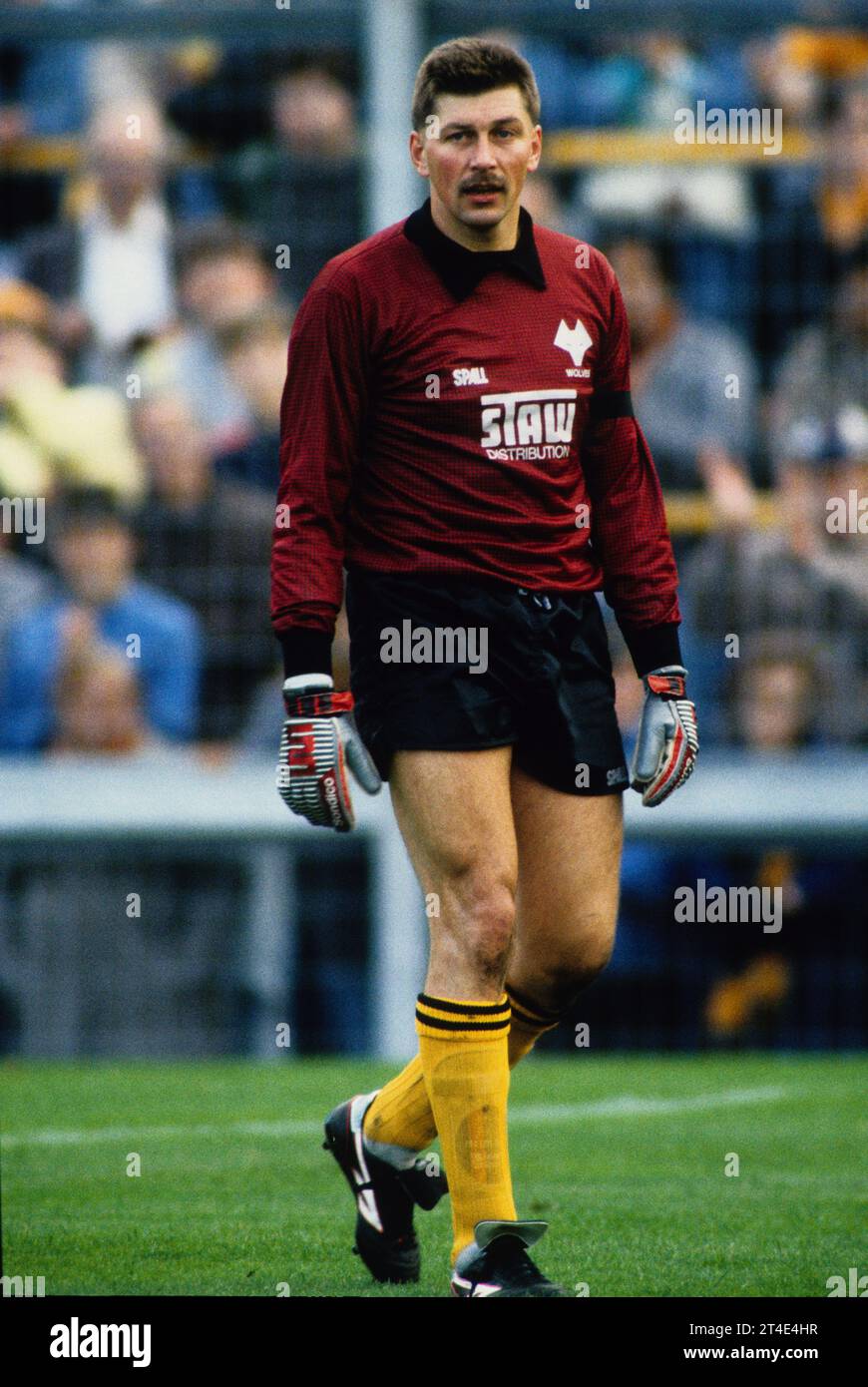 Wolverhampton Wanderers goalkeeper Mark Kendall April 1988 Stock Photo ...