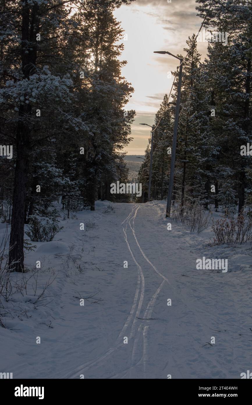 Magical winter landscape. Snow covered trees. Helsinki. Finland ...