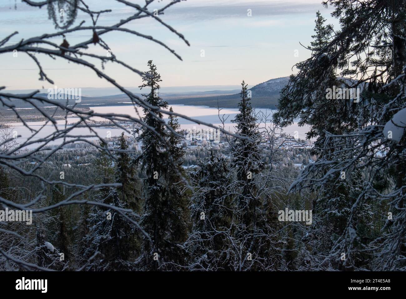 Magical winter landscape. Snow covered trees. Helsinki. Finland ...