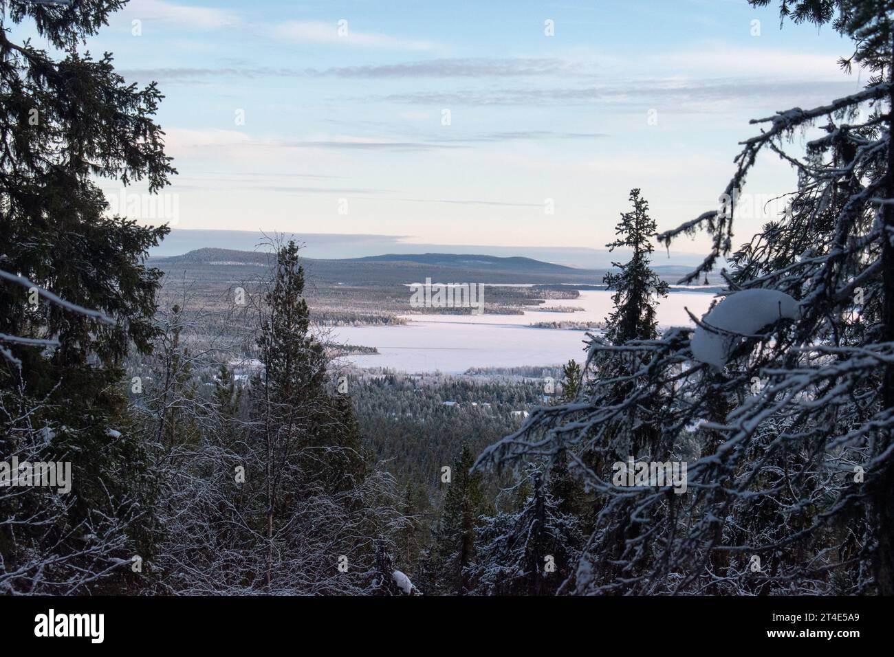 Magical winter landscape. Snow covered trees. Helsinki. Finland ...