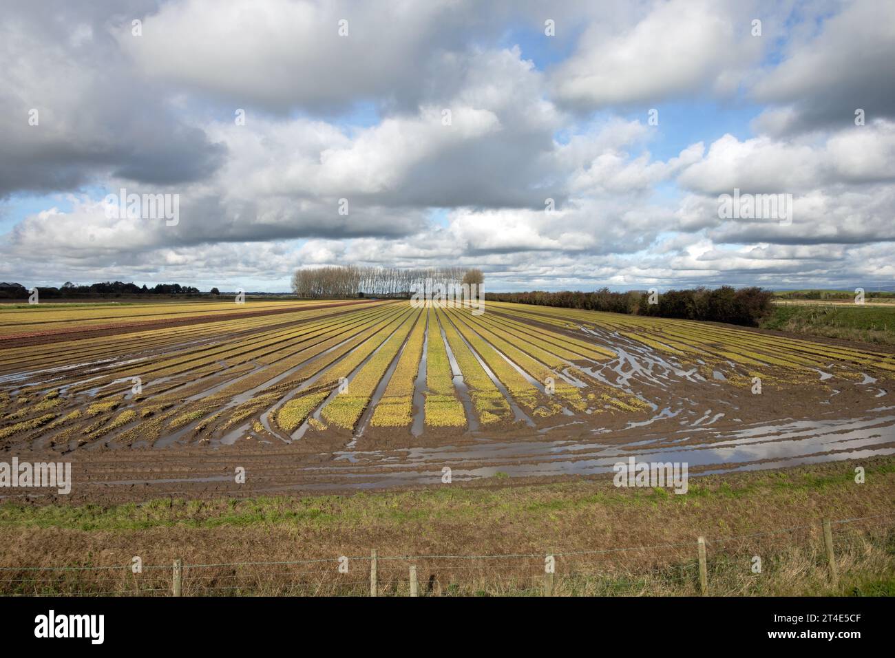 King charles english coast path hi-res stock photography and images - Alamy