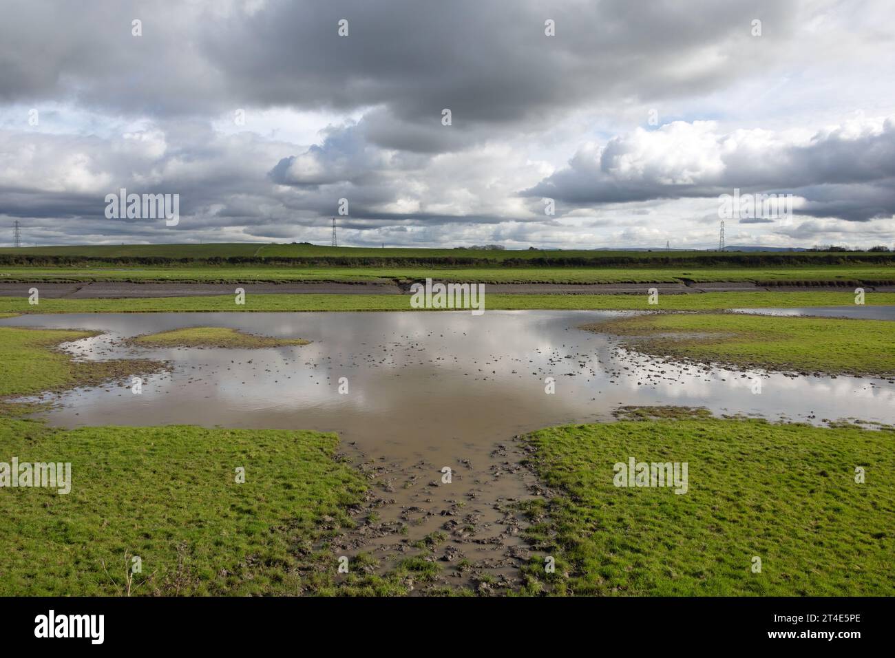 Flooded and waterlogged ground Becconsall Out Marsh looking toward the ...