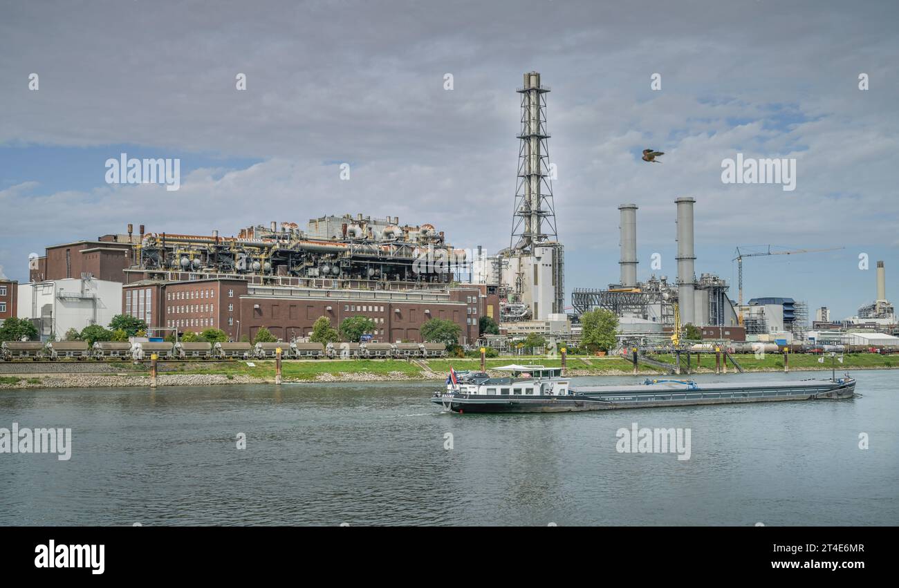 Chemiewerk BASF, Rhein, Ludwigshafen, Rheinland-Pfalz, Deutschland ...