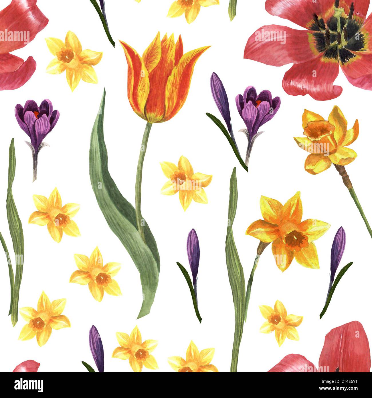 Seamless pattern of spring flowers hand drawn in watercolor. Floral ...