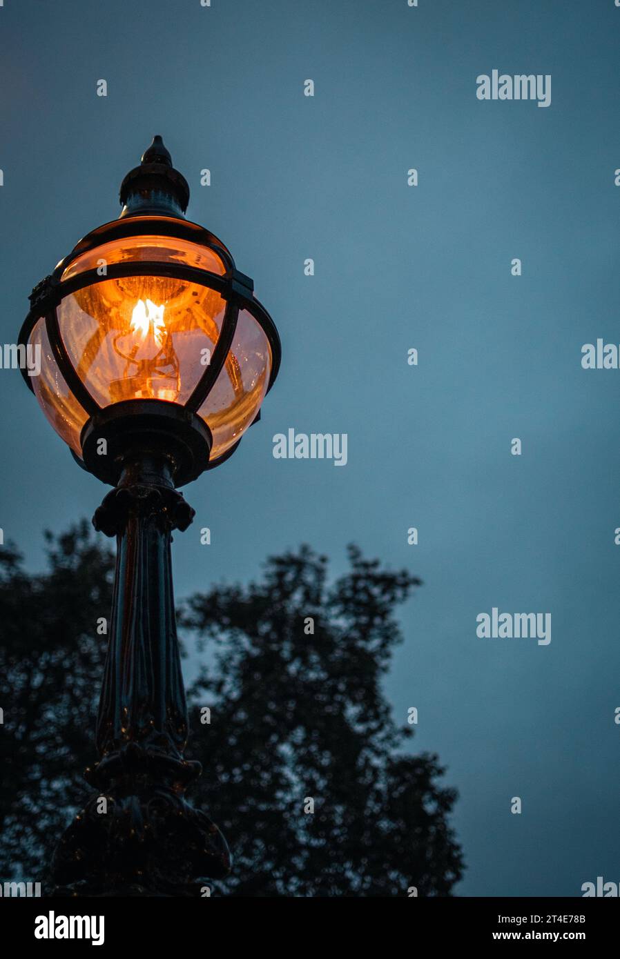 CLASSIC STYLE STREET LIGHT WITH A TREE Stock Photo - Alamy