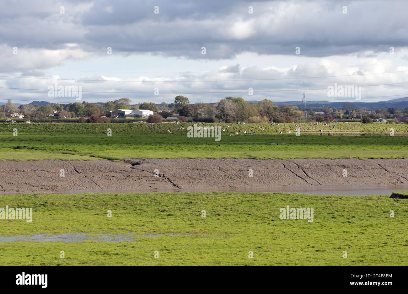 Flooded and waterlogged ground Becconsall Out Marsh looking toward the River Douglas at Hesketh ...
