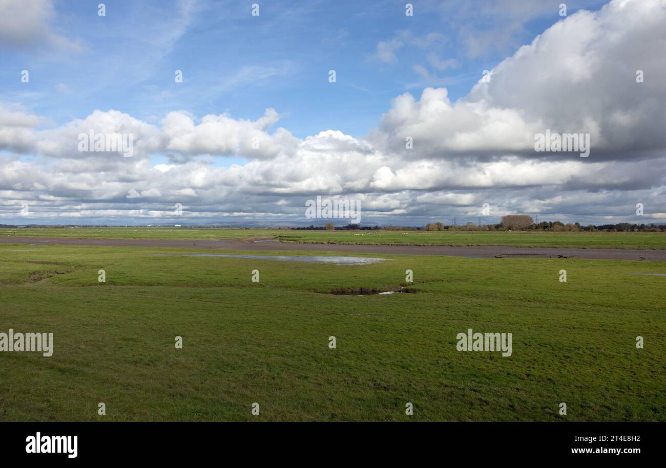 Flooded and waterlogged ground Becconsall Out Marsh looking toward the ...