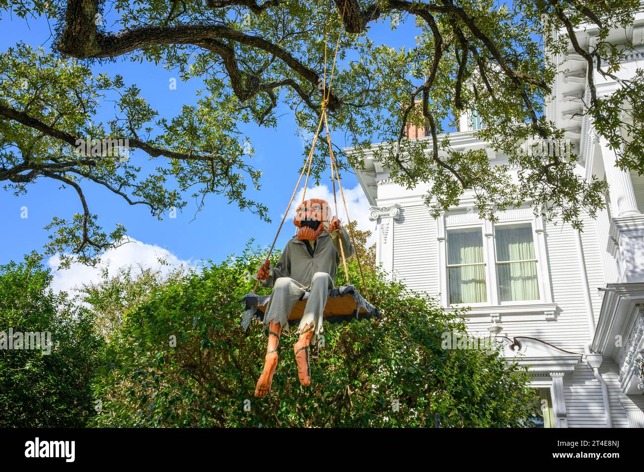 Creepy tree swing hi-res stock photography and images - Alamy