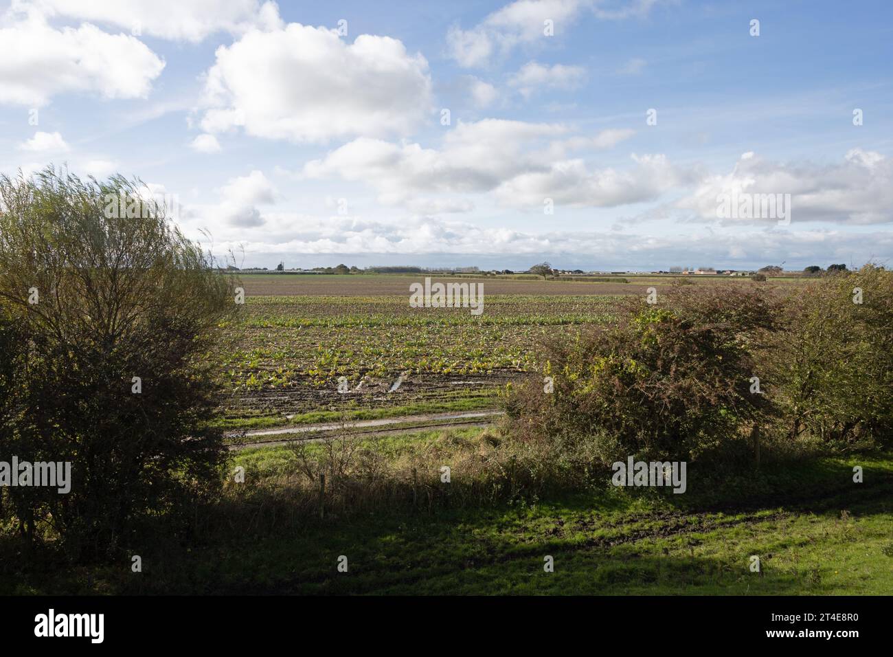 King charles english coast path hi-res stock photography and images - Alamy
