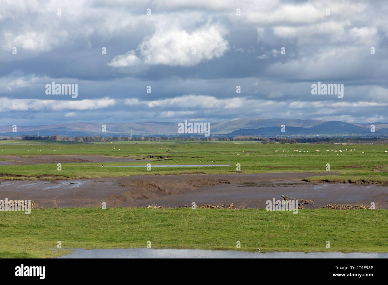 Waterlogged marsh by the River Douglas with a distant view to the ...