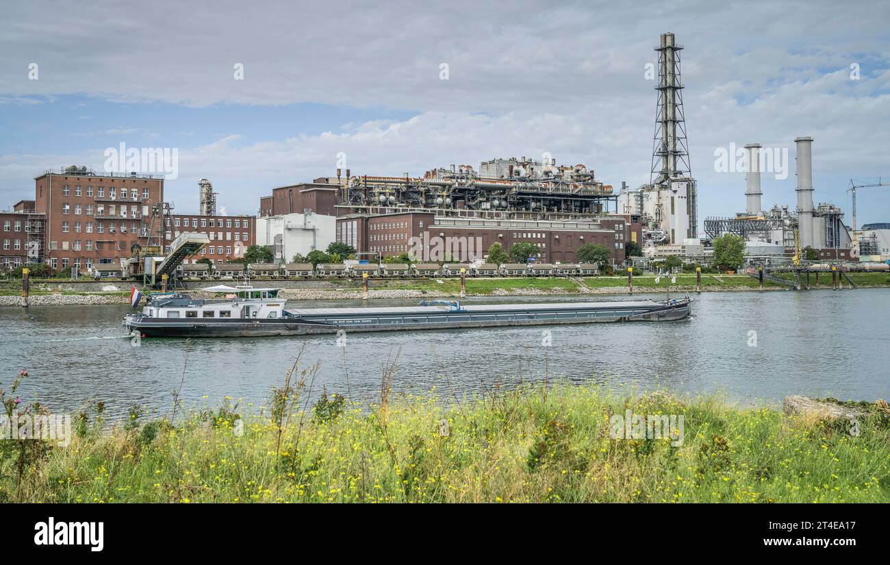 Chemiewerk BASF, Rhein, Ludwigshafen, Rheinland-Pfalz, Deutschland ...