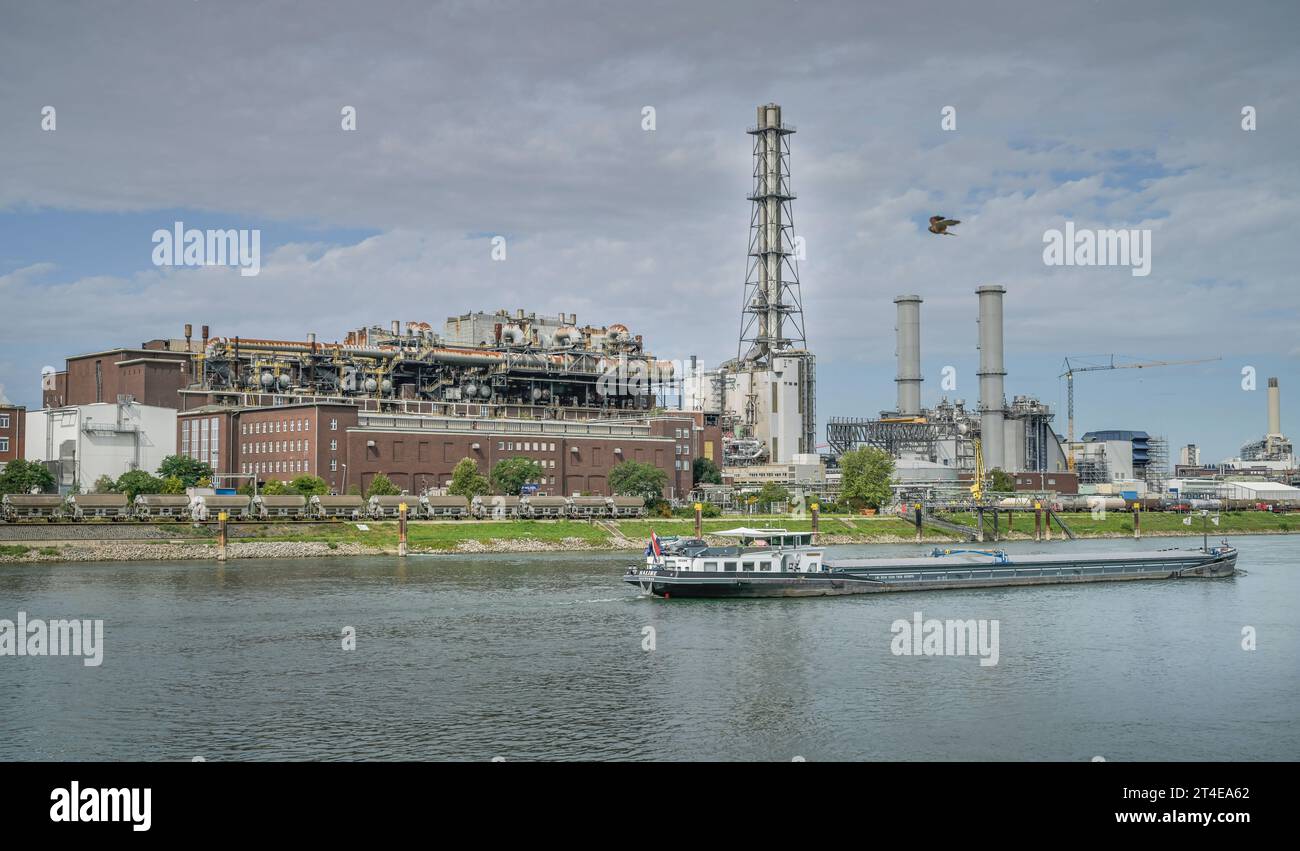 Chemiewerk BASF, Rhein, Ludwigshafen, Rheinland-Pfalz, Deutschland ...
