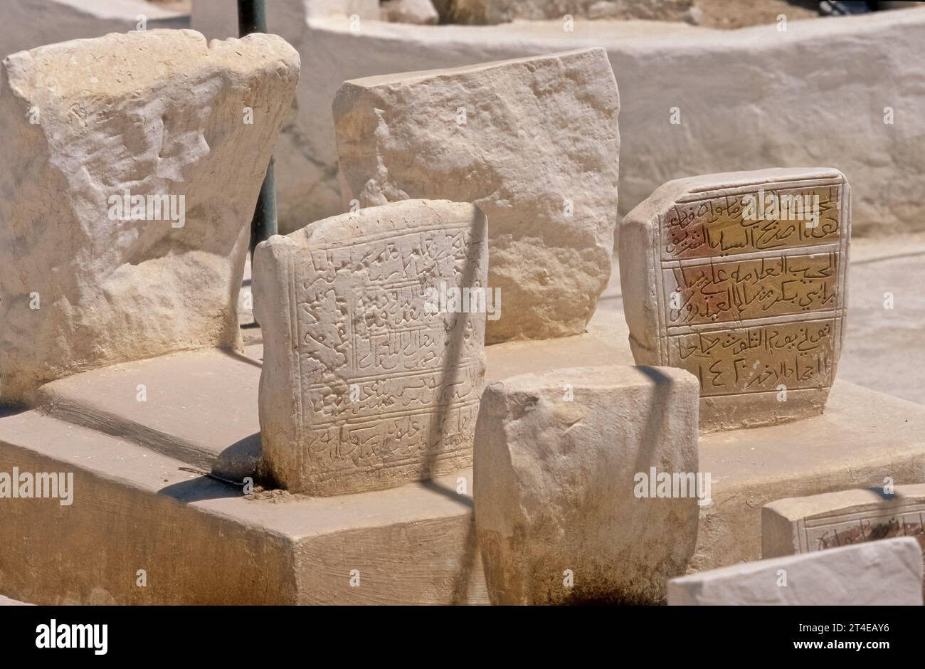 Seiyun Palace was the royal residence of the sultan of Kathiri, located ...