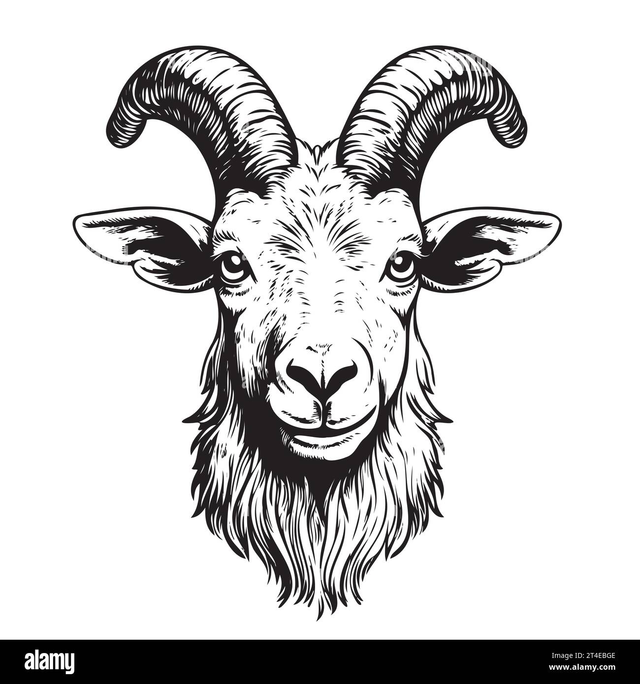 Domestic goat male Black and White Stock Photos & Images - Alamy