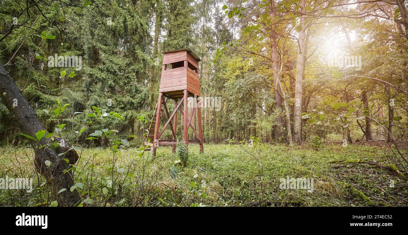 Wooden hunting tower in a forest Stock Photo - Alamy