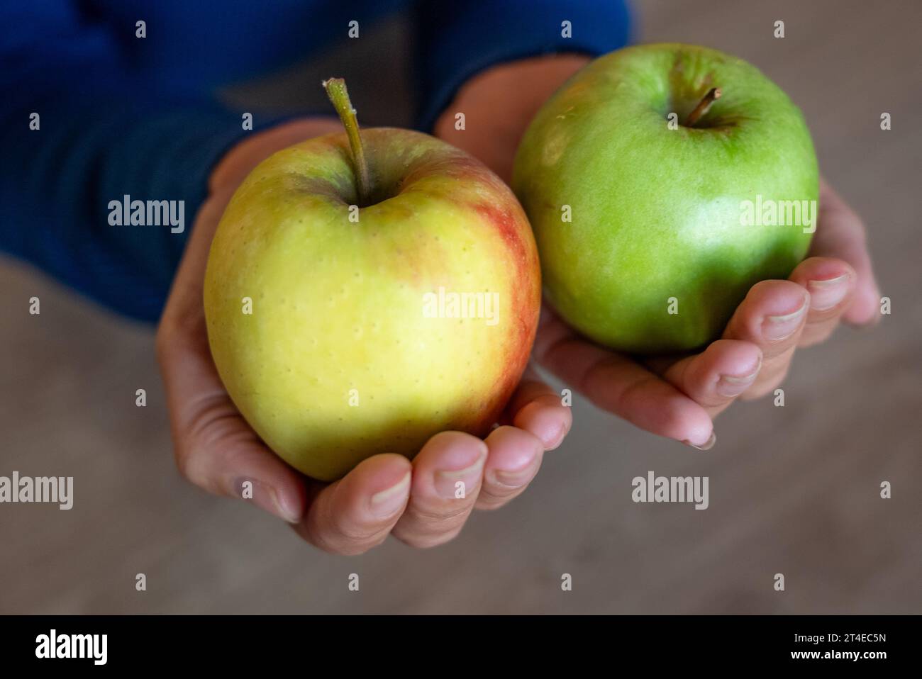 The woman holds food in her hand. The girl holds an apple. Apples in ...