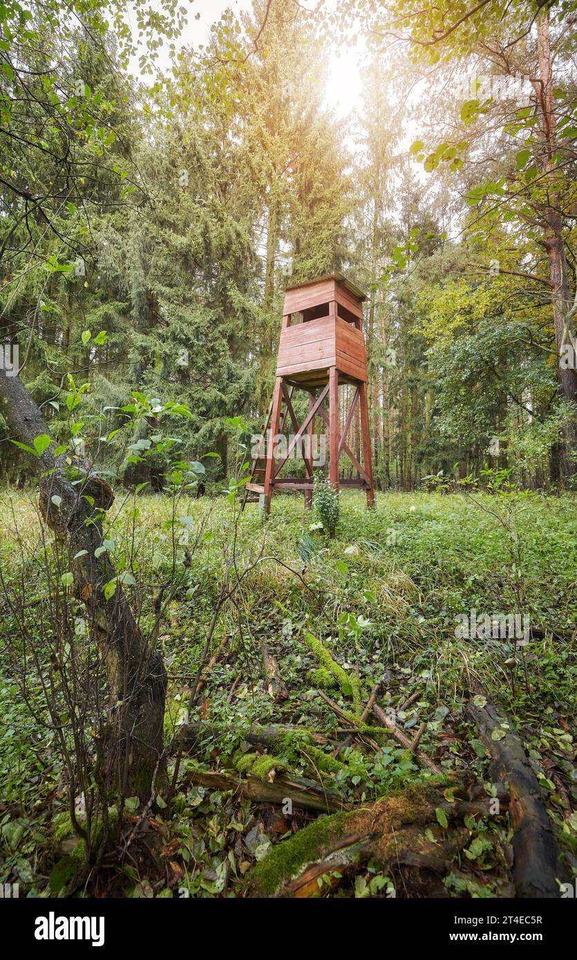 Hunting the sunlight hi-res stock photography and images - Alamy