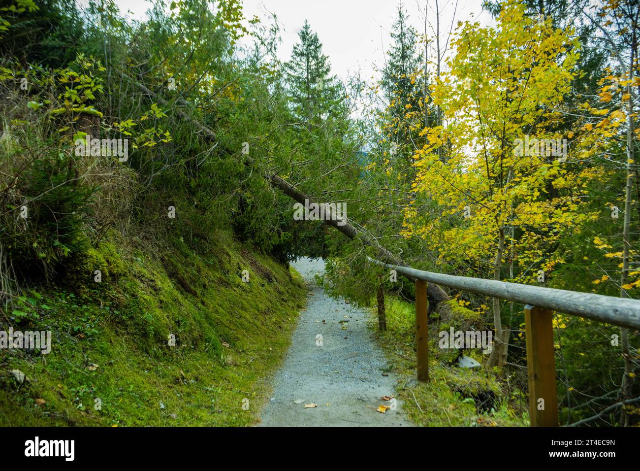 Blocking pathway hi-res stock photography and images - Alamy