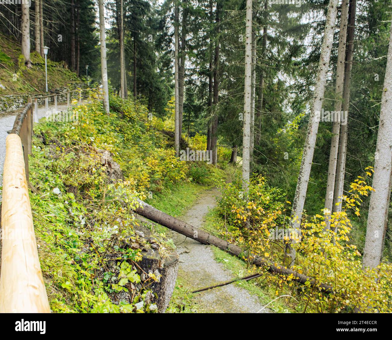 Landfall pathway hi-res stock photography and images - Alamy