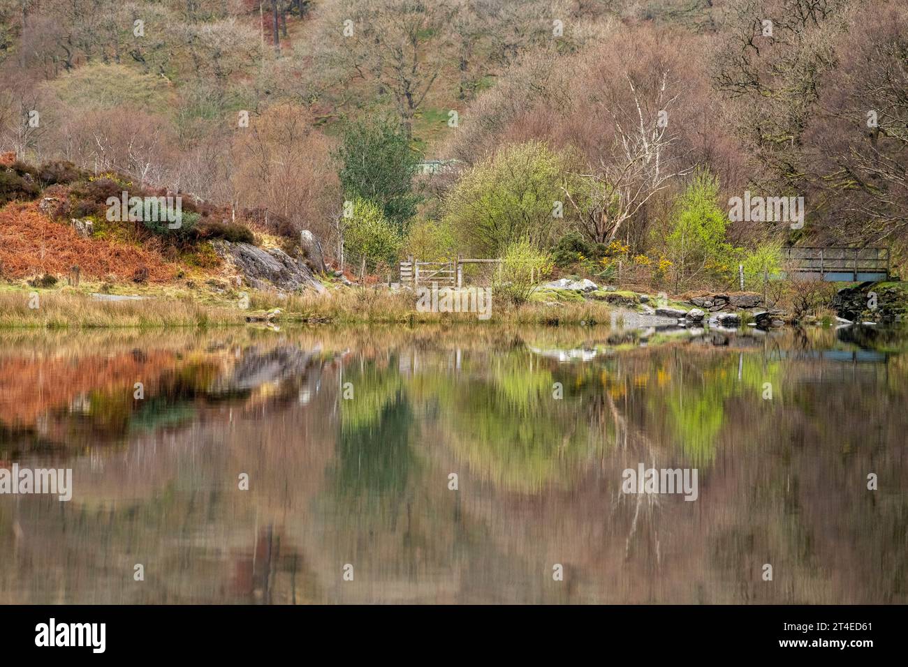 Reflections captured on a spring day at Llyn Dinas, Gwynedd Snowdonia Wales UK Stock Photo - Alamy