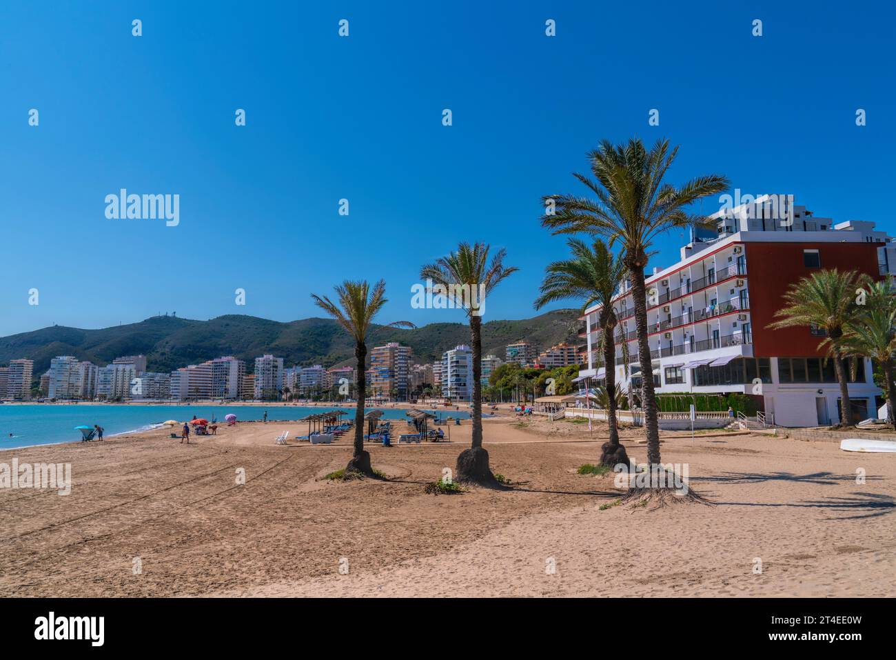 Cullera beach palm trees Spain beautiful spanish tourist destination on ...