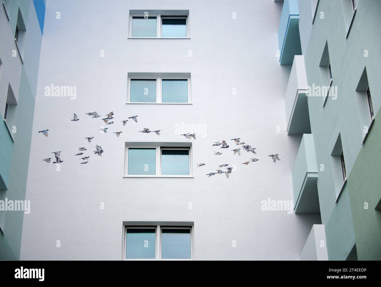 Wall mural bird art hi-res stock photography and images - Alamy