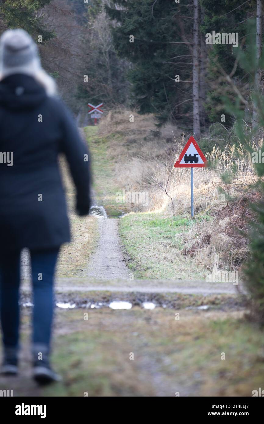 Gribskov in Denmark near Kagerup in winter 2019 Stock Photo - Alamy