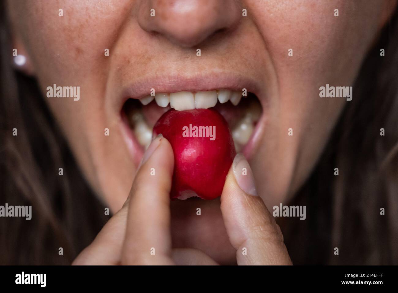 Woman eats food. Woman eats Red Radish. Close shot of girl eating ...