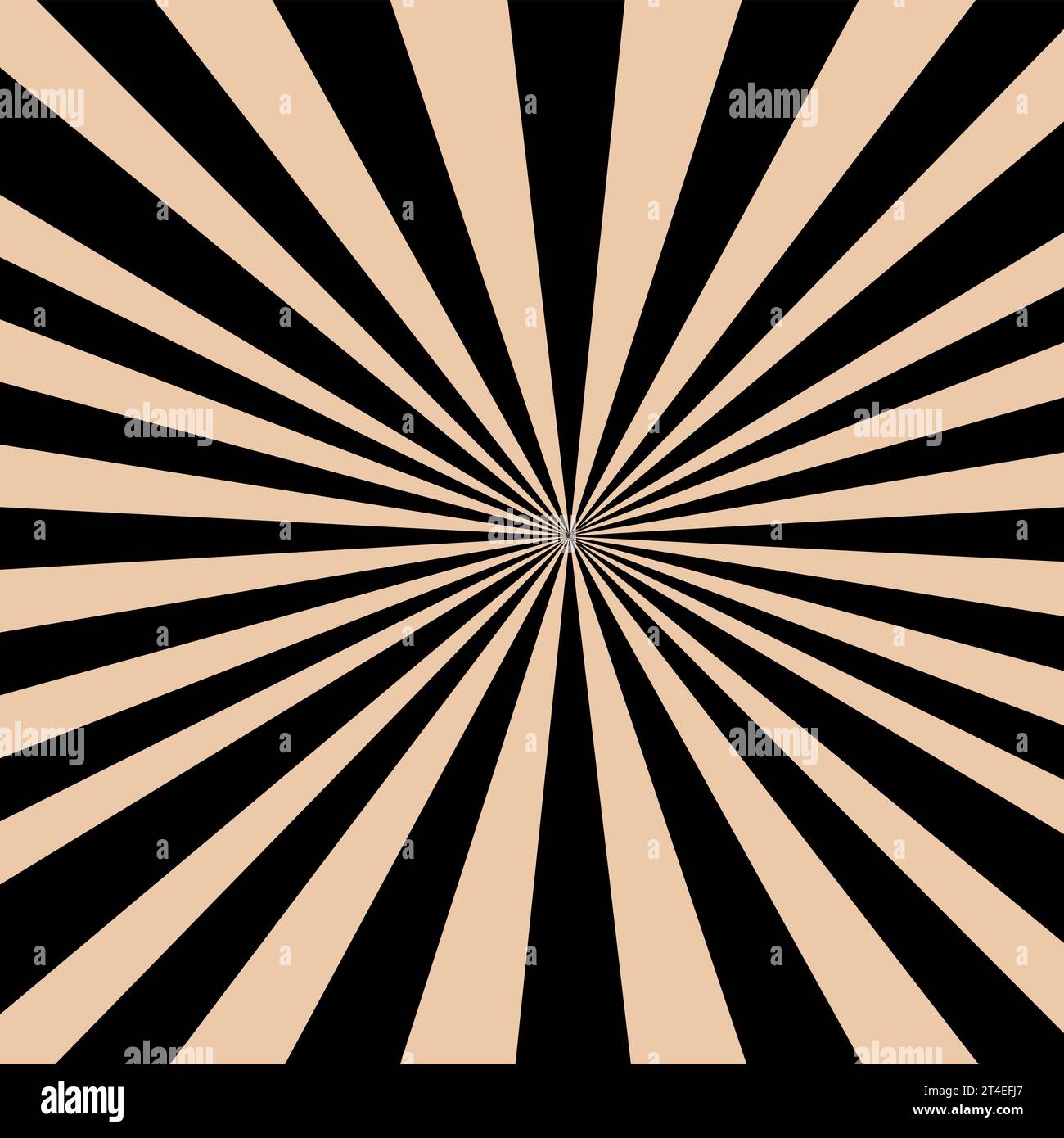 Ray sun light. Black sunburst isolated on white background. Radial ...