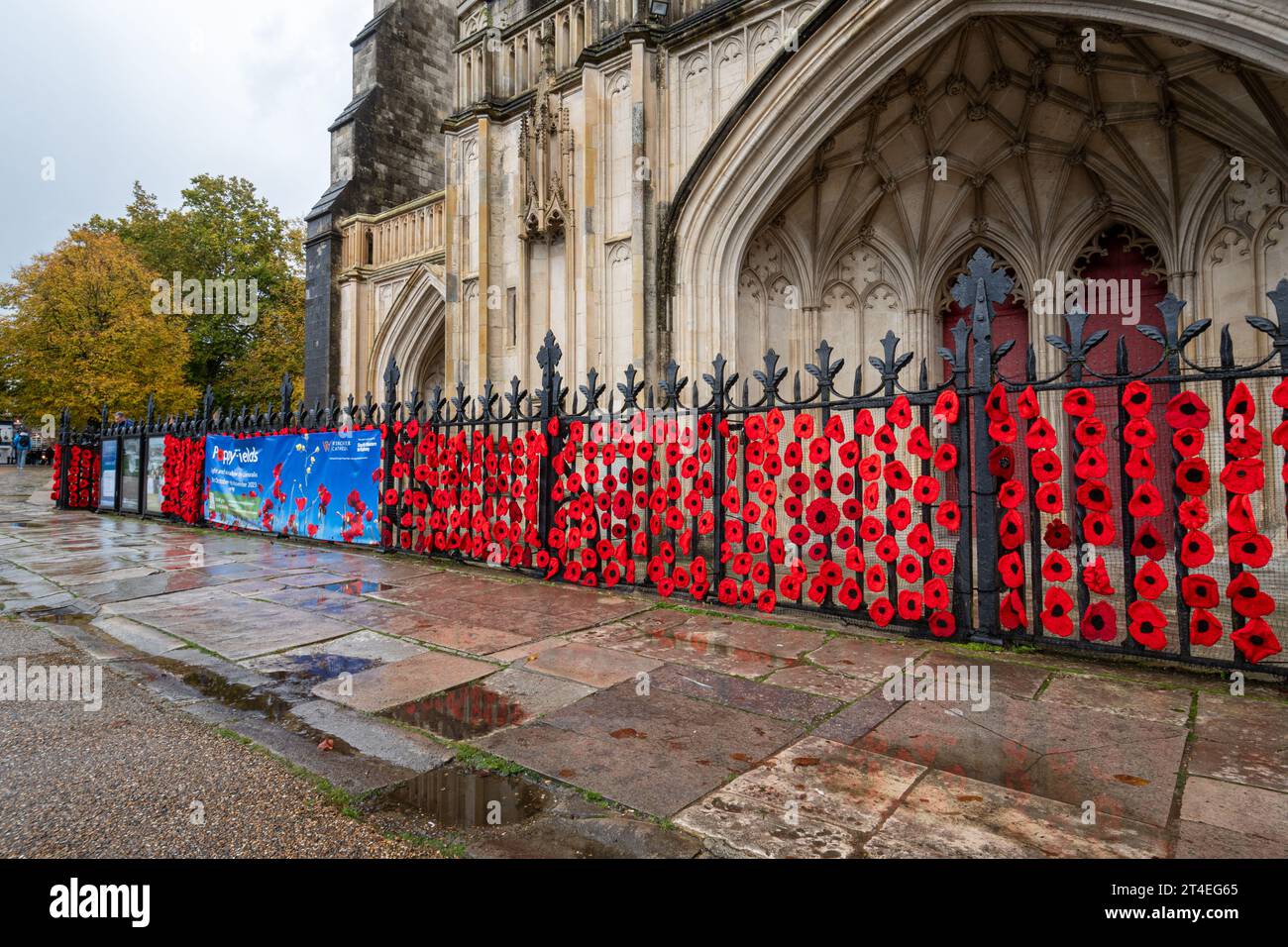 Poppy decorations, red poppies around Winchester Cathedral entrance ...