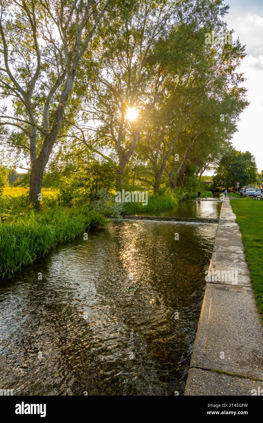 The River Darent at Eynesford Kent, on a summer evening Stock Photo - Alamy