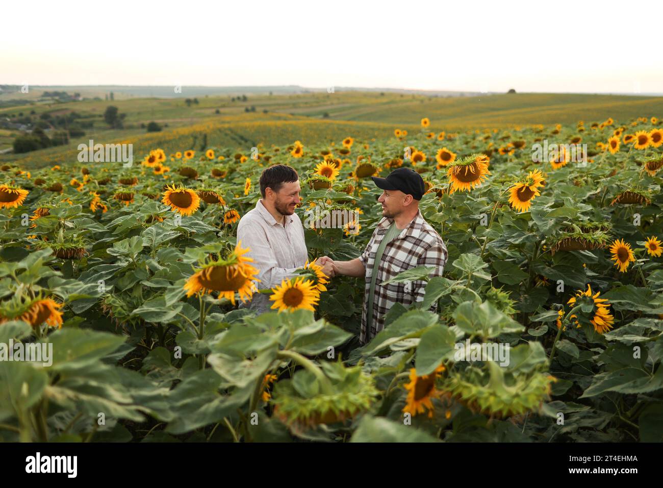 Agribusiness. Two smiling young farmers shaking hands and making ...