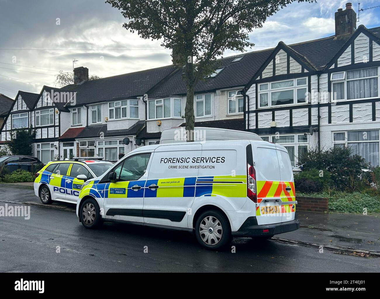 Police vehicles outside a property on Ash Tree Way, Croydon, where a 23 ...