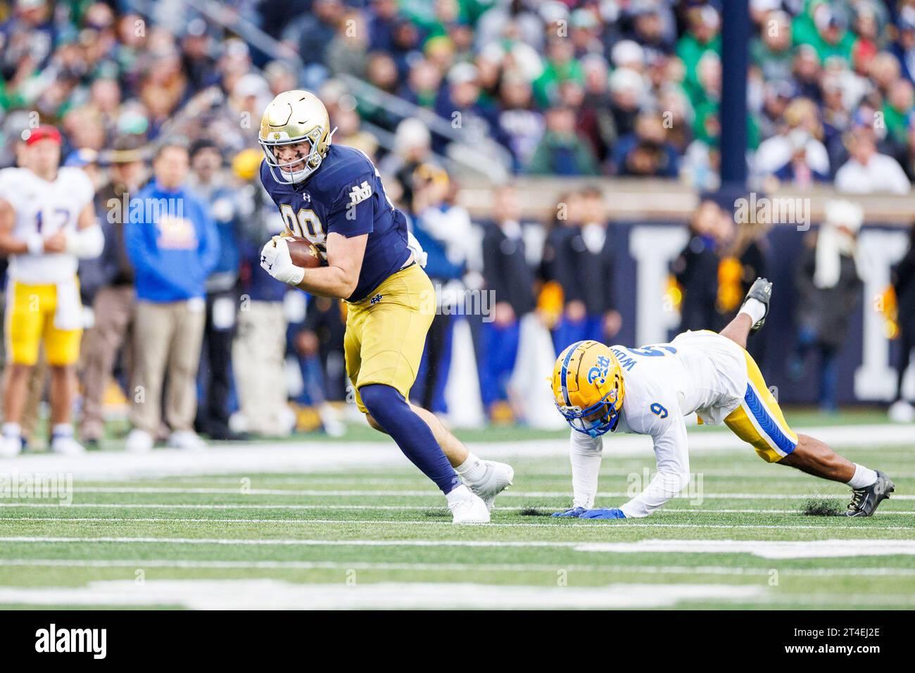 October 28, 2023: Notre Dame tight end Mitchell Evans (88) runs with ...