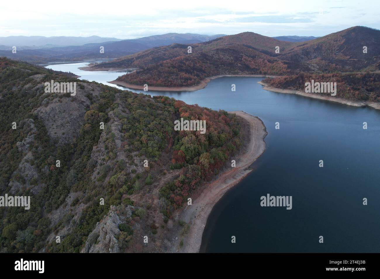 Nipsa hi-res stock photography and images - Alamy