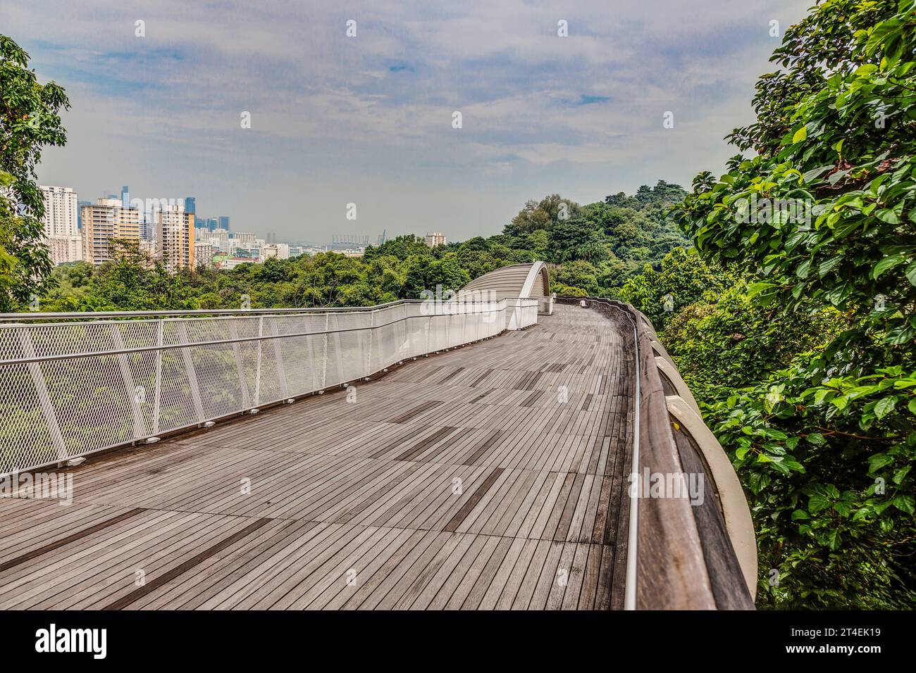 View on Henderson Wave pedestrian bridge in Singapore Stock Photo - Alamy