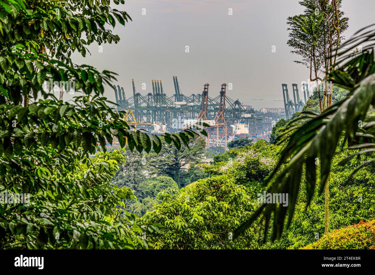 View on Singapore harbor from Mount Faber Park Stock Photo - Alamy