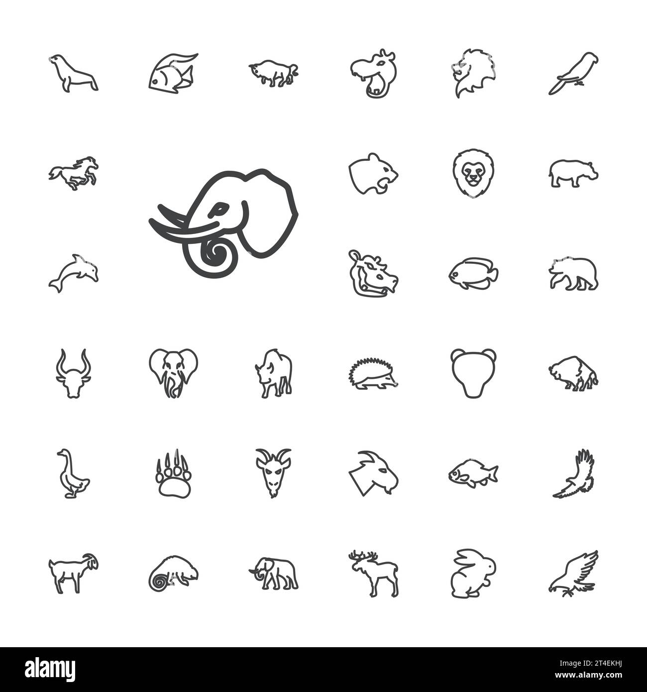 Bull dolphin Stock Vector Images - Alamy