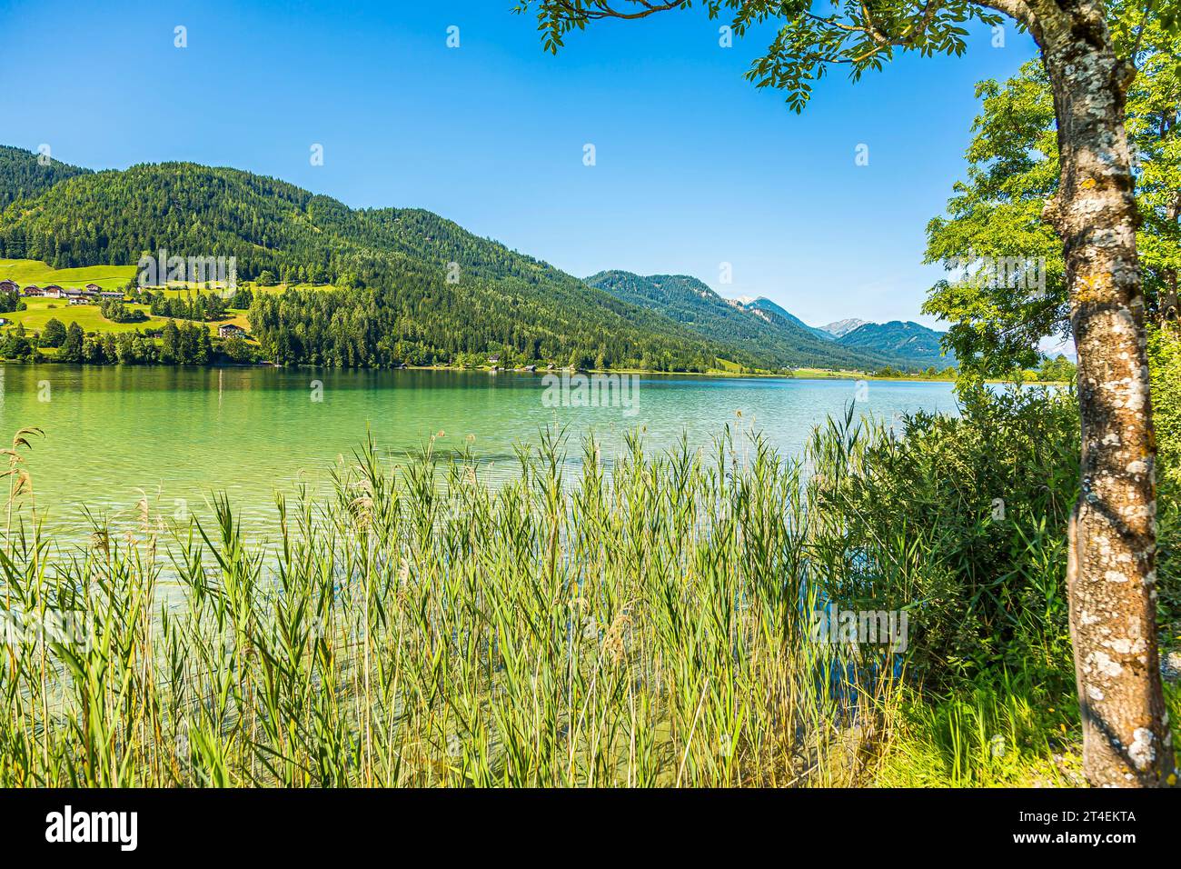 Picture of pretty Weissensee lake in Austria Stock Photo - Alamy