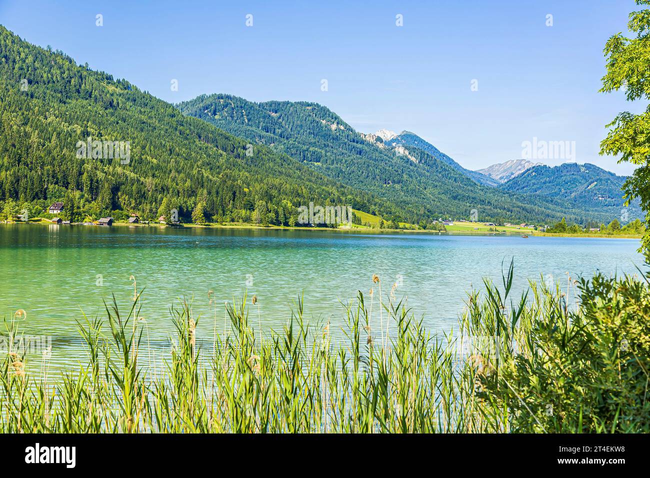 Picture of pretty Weissensee lake in Austria Stock Photo - Alamy