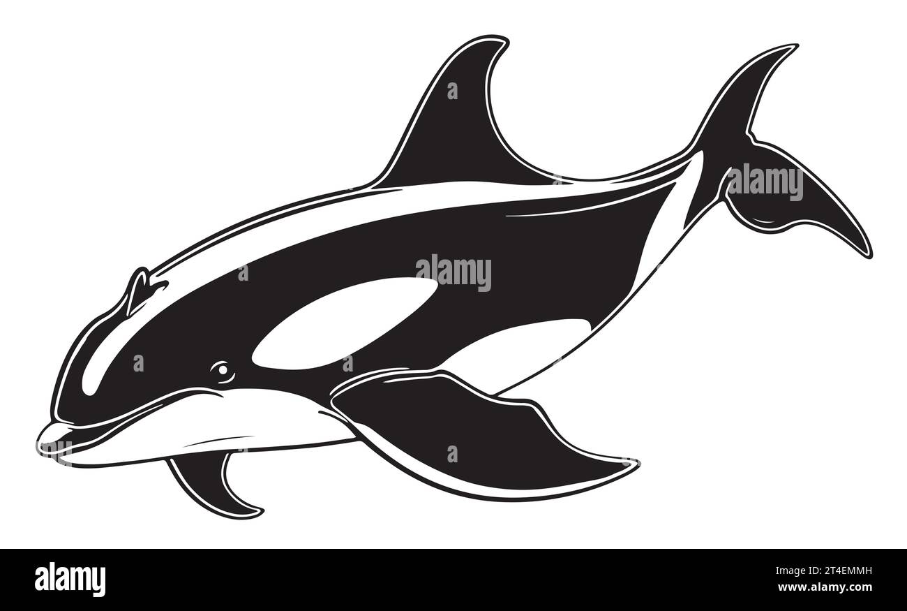 Orca drawing hi-res stock photography and images - Alamy