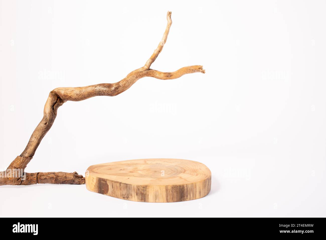 Natural round wooden podium for product placement, stick. Minimal ...