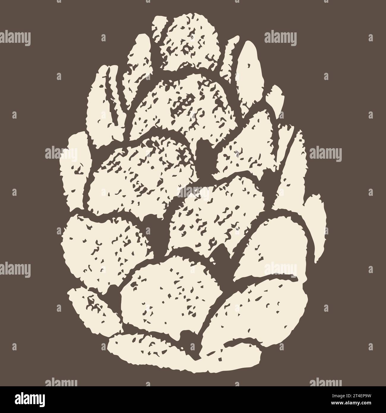 Larix decidua leaf Stock Vector Images - Alamy