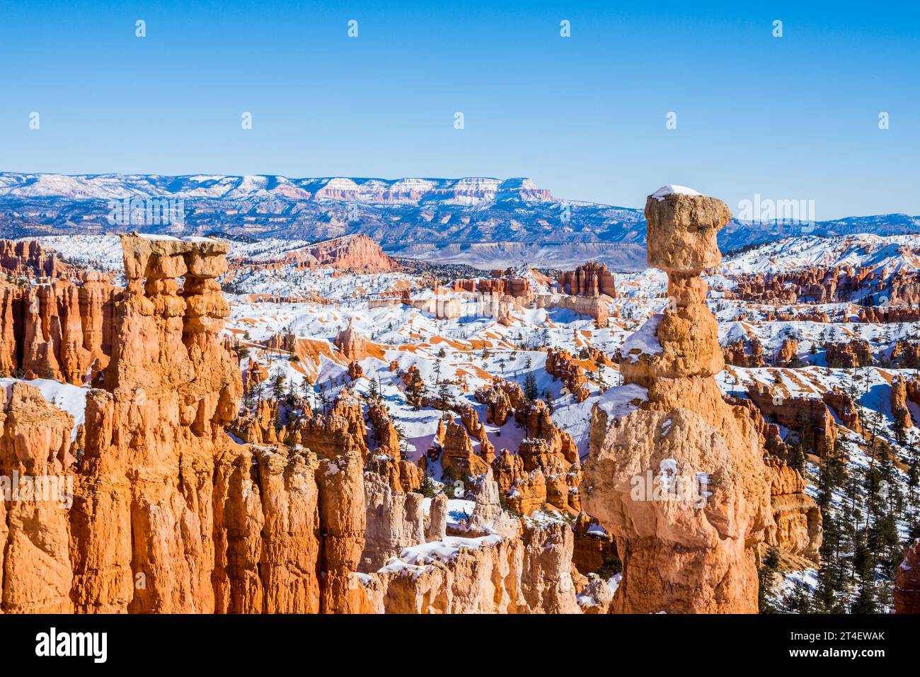 Bryce Canyon national park viewpoint over the amphitheater Stock Photo ...