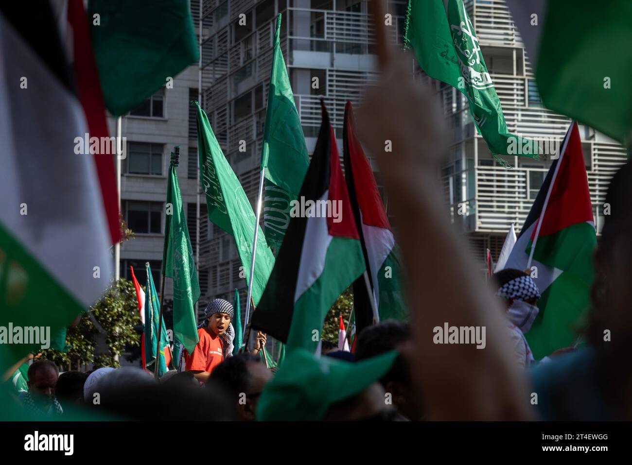 Beirut, Lebanon. 29th Oct, 2023. A demonstrator looks over the crowd ...