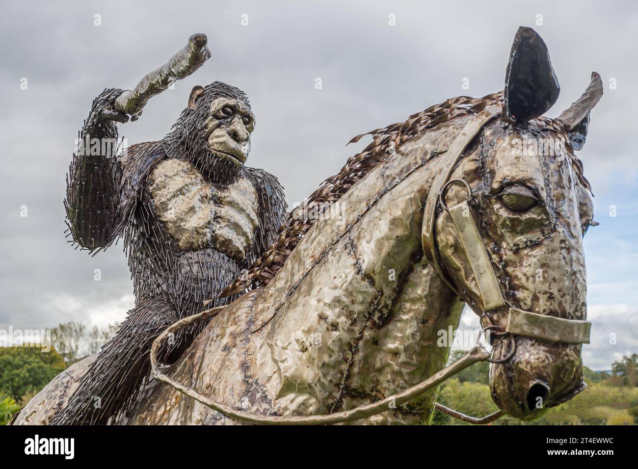Planet of the apes sculpture pictured at the Shropshire Sculpture Park ...