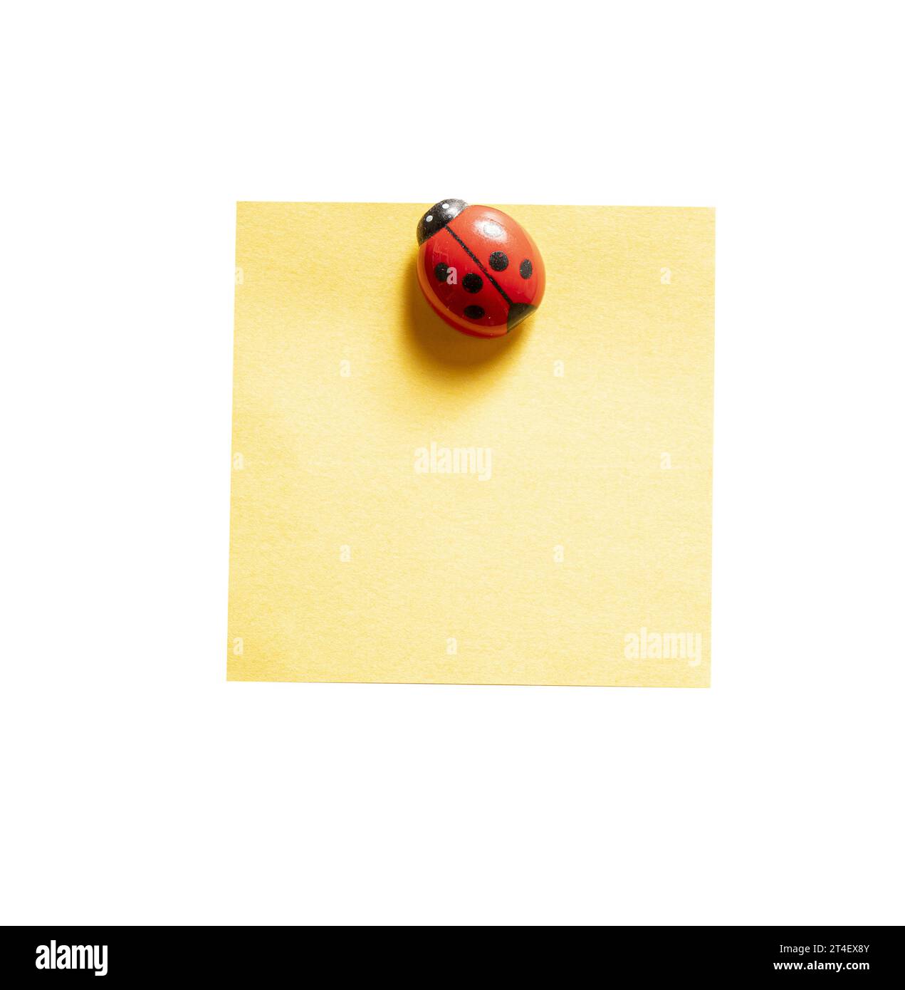 a blank colored memo sheet on a transparent background Stock Photo - Alamy