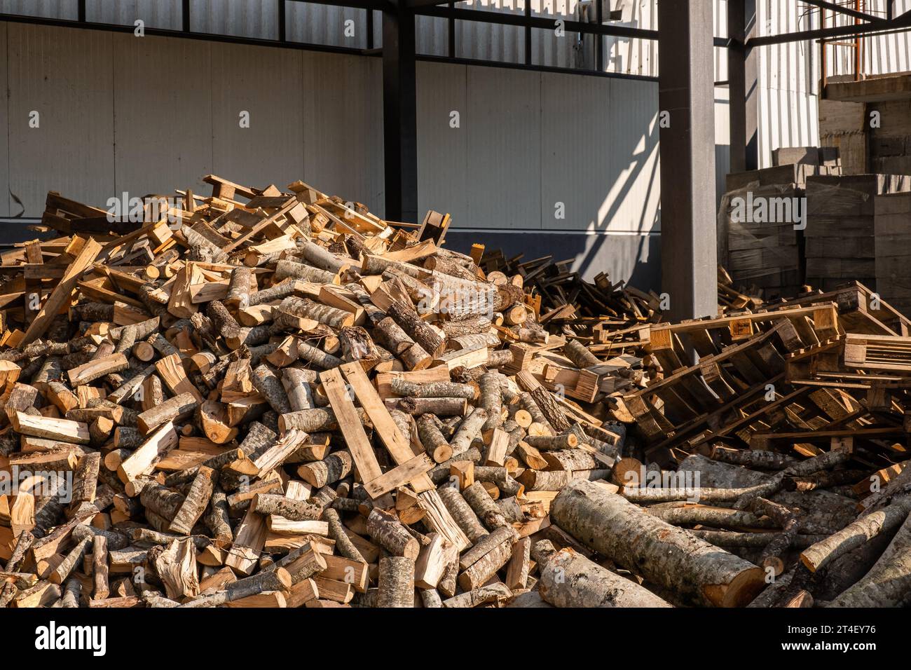 Stacking Firewood. Pile of firewood loggs. Preparation for winter heating season. Firewood ...