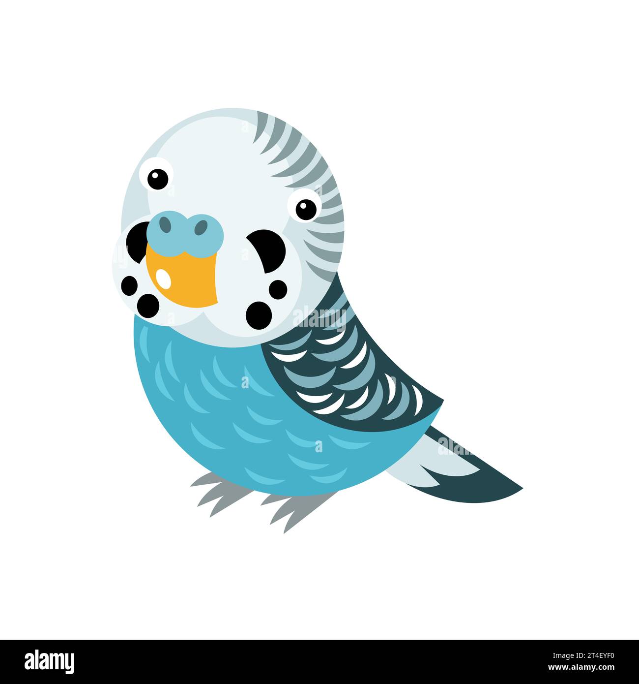 Cartoon australian animal bird parrot on white background illustration ...