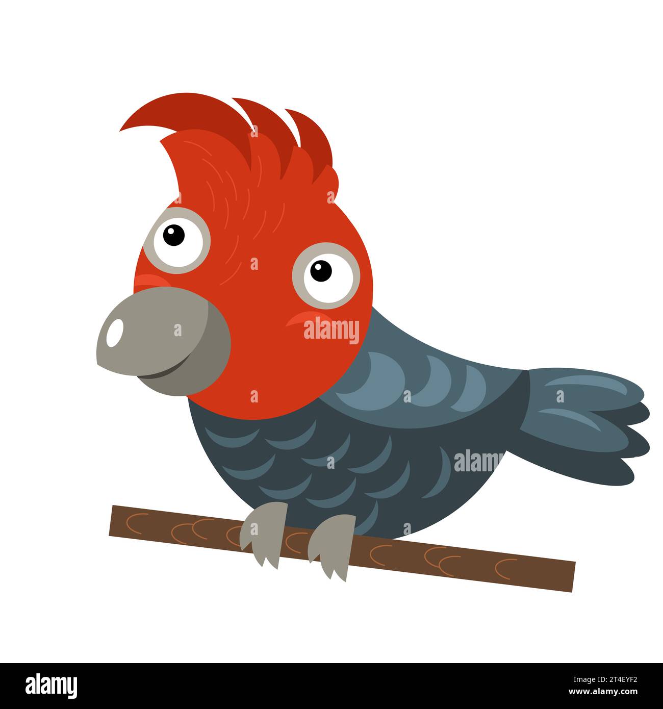Cartoon australian animal bird cockatoo on white background ...